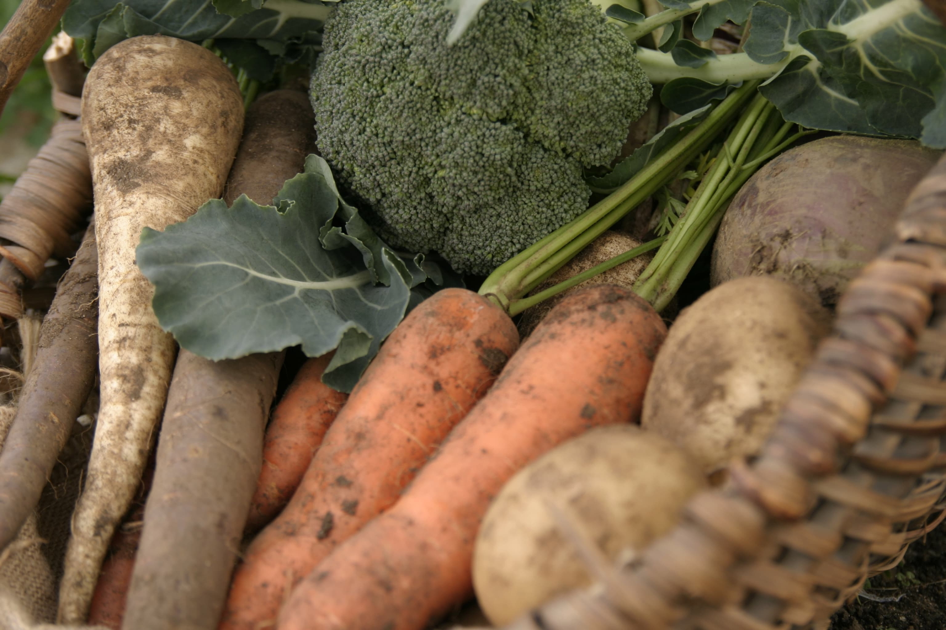 Ardross Farm Shop - Family Run Farm in East Neuk, Fife